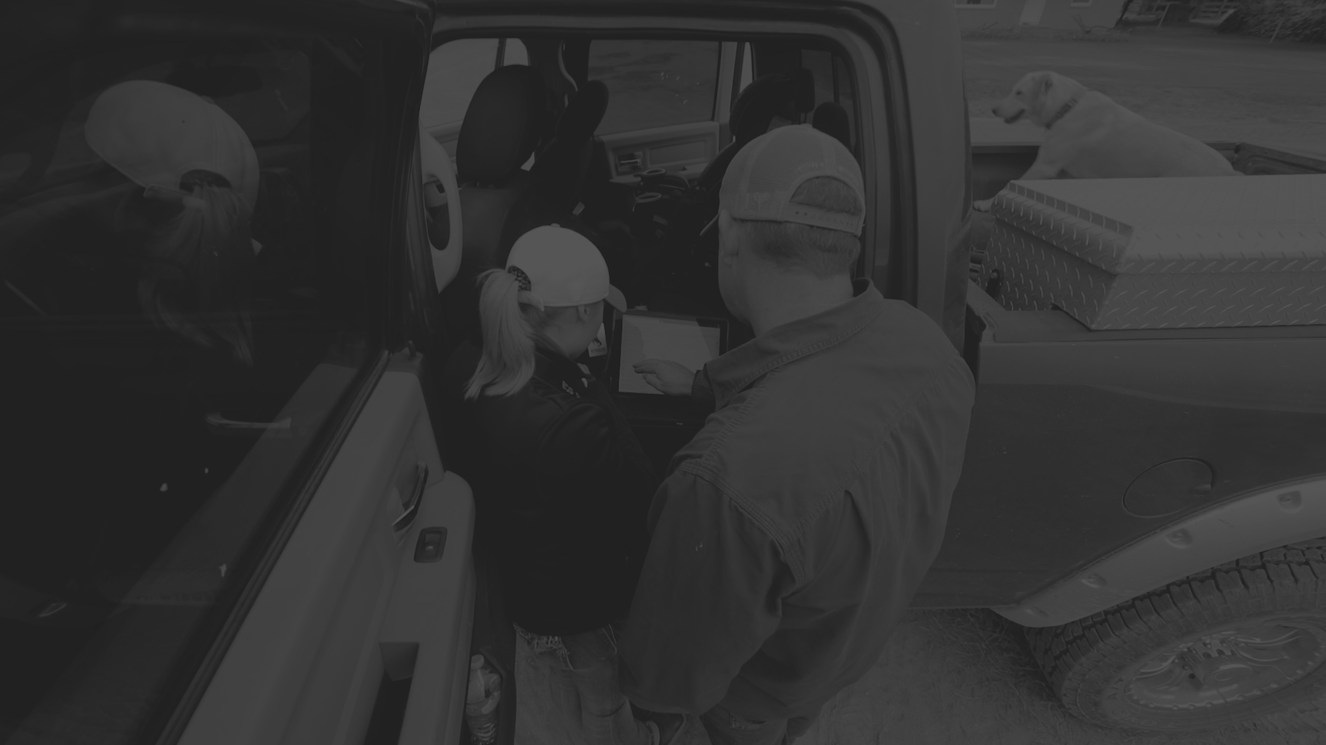 Connect Mobble livestock data with Agworld | Agworld